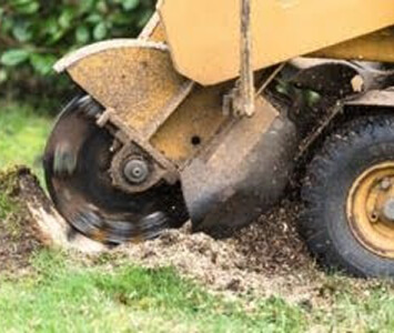 Professional Land Clearing Services in Lorena TX - Forestry & Brush ...